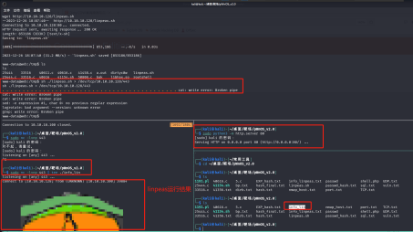自动化内网渗透信息搜集—Linpeas – why403