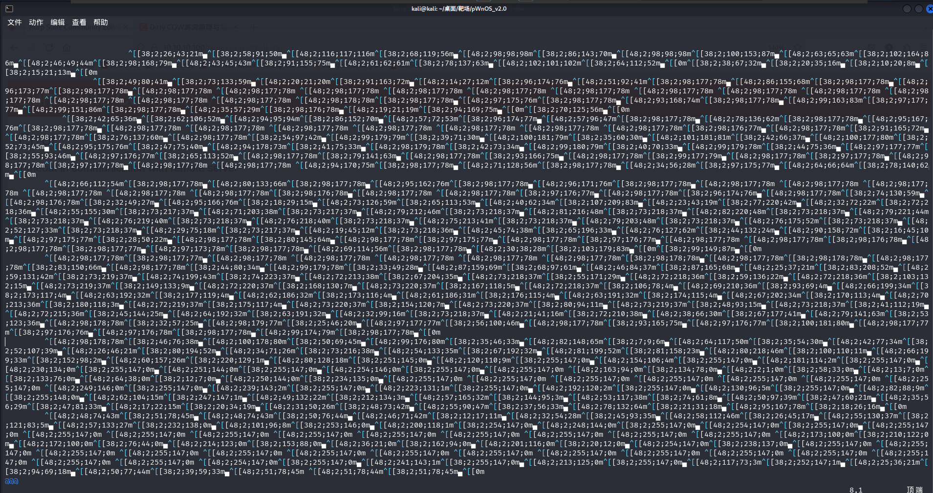自动化内网渗透信息搜集—Linpeas – why403