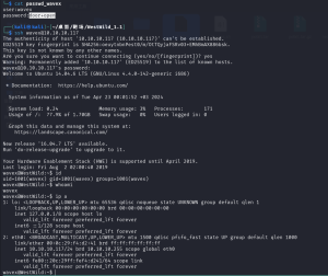 WestWild靶机详解 – why403