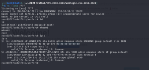 Struts2系列漏洞复现 – why403
